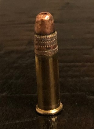 How to Hunt Rabbits With a .22 - HuntingSage